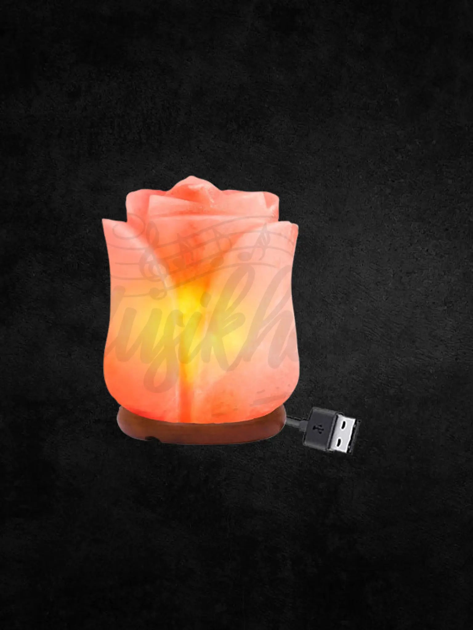 Himalaya Salzlampe Mini USB Lampe in Blumenform – Musikhaus Prince